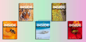 Download NGL Inside Pdf Resources (4 Levels)