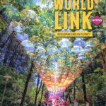 Download NGL World Link Fourth Edition Pdf (A1+ / B2+)